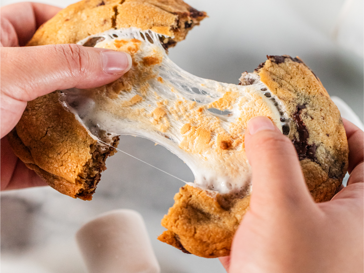 Myoa Cookies | Gift Gourmet Organic Cookies. Delivered Nationwide